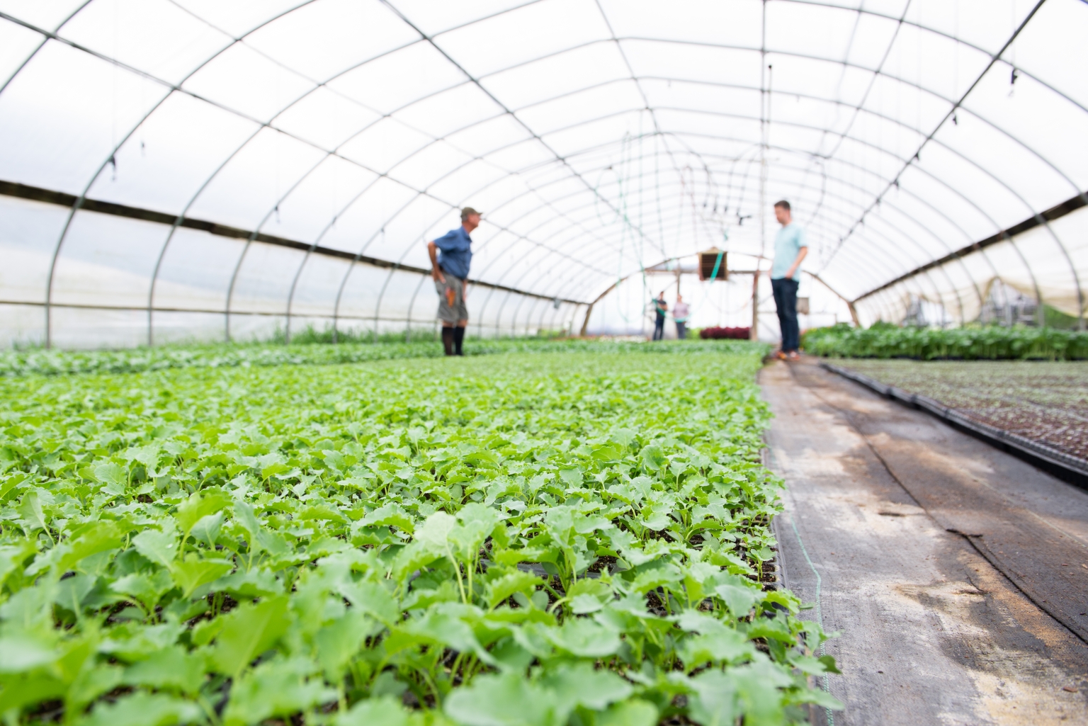 Farmer Services – Working Landscapes